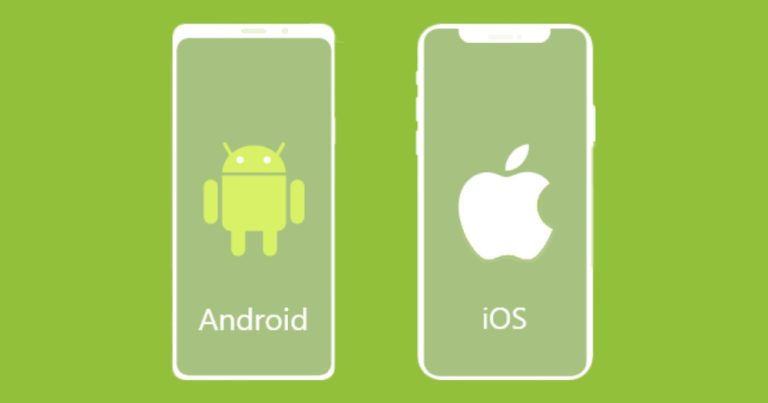 How to Convert Shopify Store into an App? [Guide 2024]