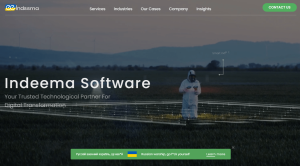 30 Top Software Development Companies in USA (2025 Reviews)