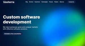 30 Top Software Development Companies in USA (2025 Reviews)