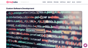 30 Top Software Development Companies in USA (2025 Reviews)