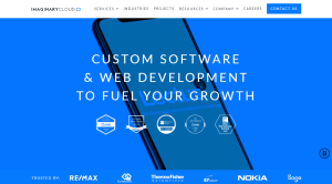 30 Top Software Development Companies in USA (2025 Reviews)