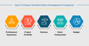 20 Top Python Development Companies (2025)
